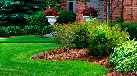 A Healthy Lawn is Essential to Creating an Attractive Garden Landscape